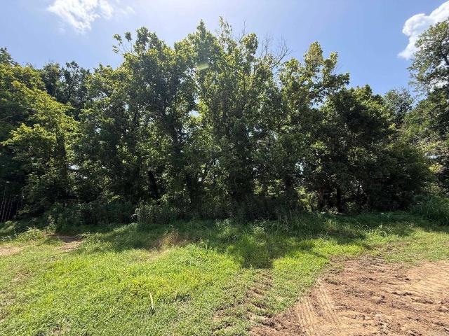 Lot 45 Up River