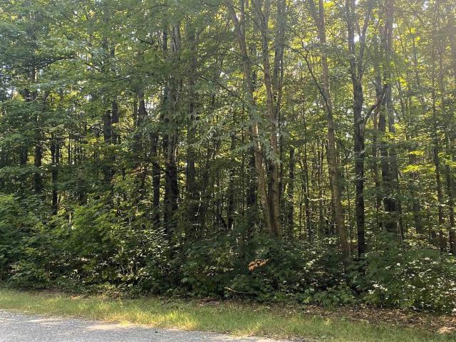Lot 466 Northwood Drive