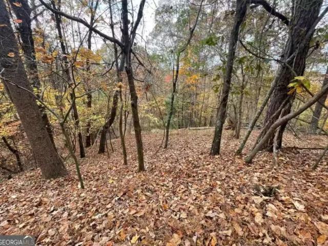 Lot 468 Cherokee Ct, Ellijay, GA 30540 MLS 10418188