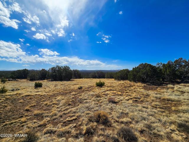 Lot 468 Show Low Pines Unit 3