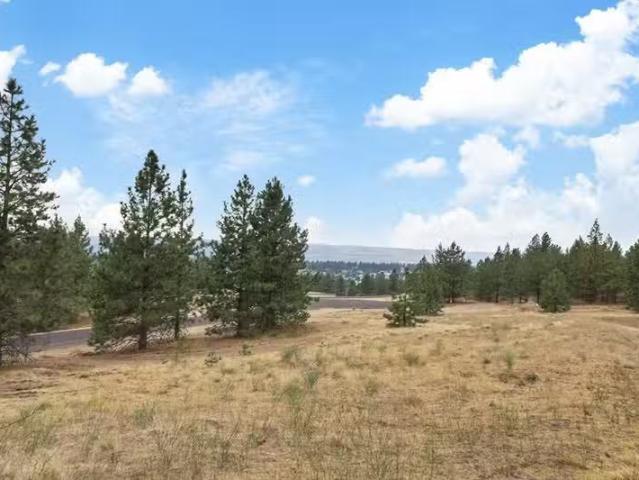 Lot #46