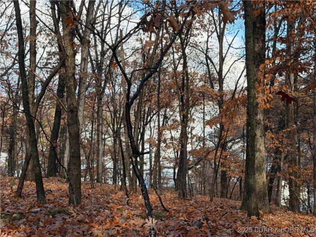Lot 46 Carol Road