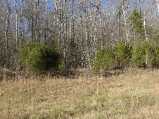 Lot 46 Cheyenne Drive