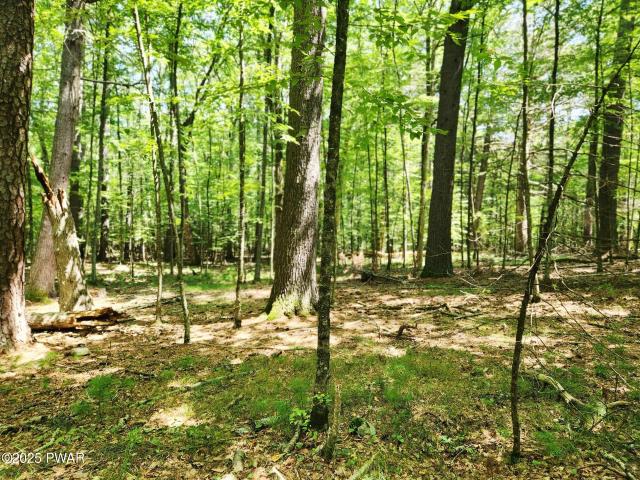 Lot 46 Creek Lane