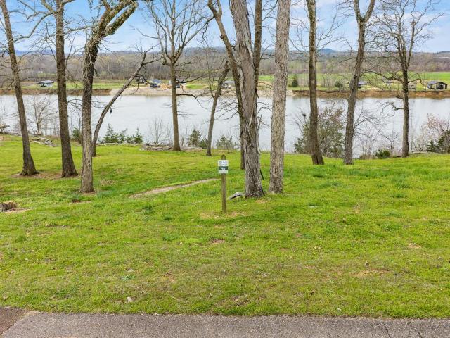 Lot 46 adam loop