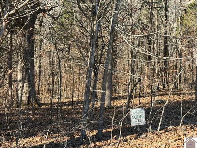 Lot 46 Bayridge Road