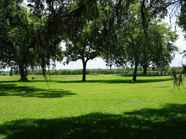 Lot 46 Brahman Trail