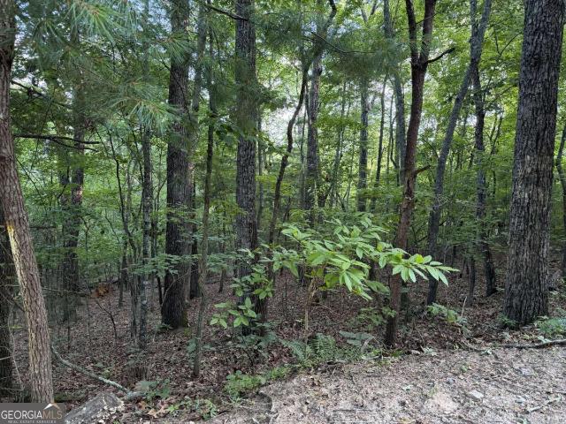 LOT 46 Fox Run Drive 46
