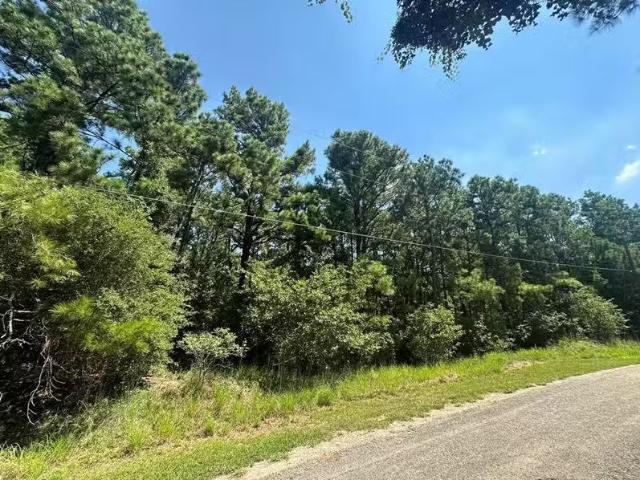 Lot 46 Kamakoa Ln, Bastrop, TX 78602 MLS 7840155
