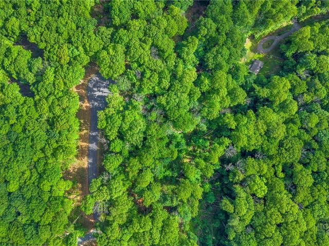 Lot 46 Poplar Forest Drive