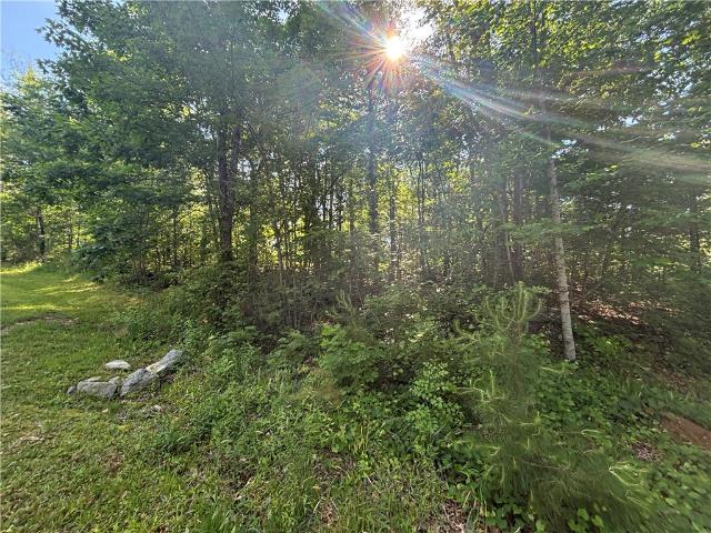 Lot 46 Princess Tree Way