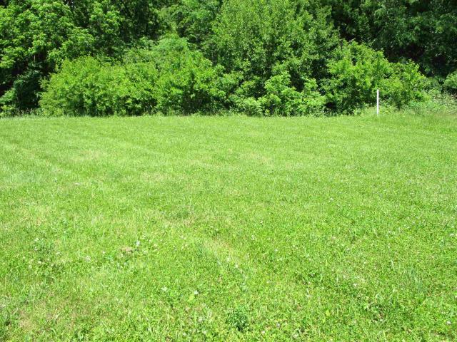Lot 46 Terrier Drive