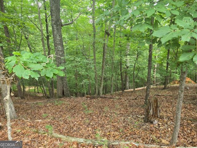 LOT 476 Riverview Drive