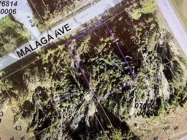 Lot 47&48 Malaga Ave, North Port, FL 34287 MLS N6133166