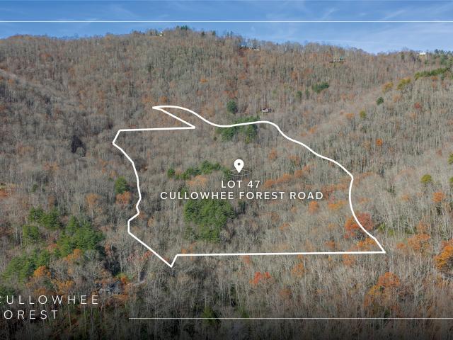 Lot 47 Cullowhee Forest Road