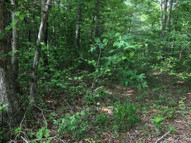 Lot 47 Buckeye Lane