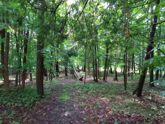 Lot 47 Linksview, Gladwin, MI 48624