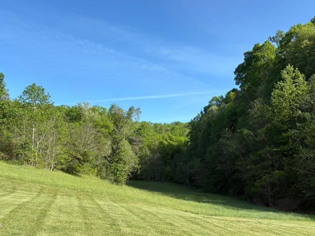 Lot 485 Russell Brothers Rd