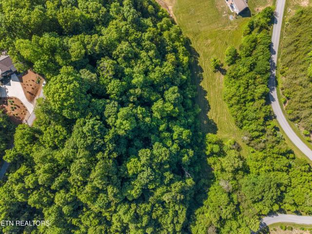 Lot 487 Magnolia Lane