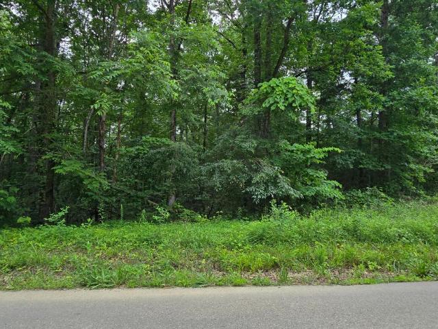 Lot 48 49 Bear Creek Rd