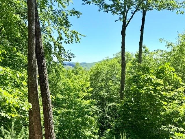 Lot 48 & 49 Davis Acres