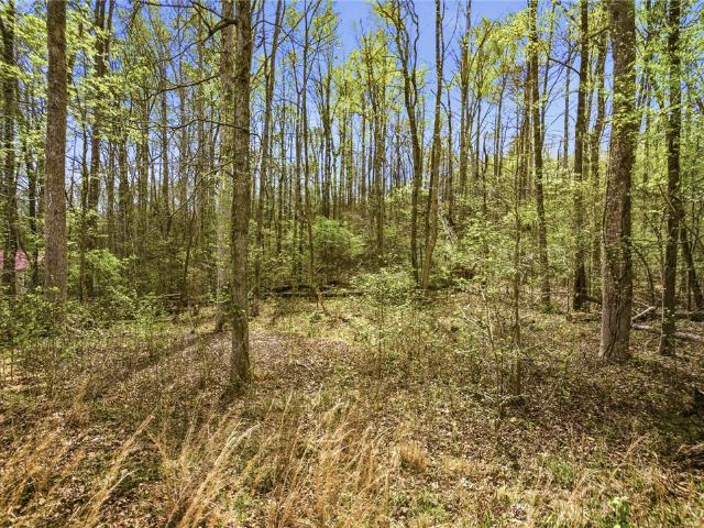 Lot 48 Brandywine Drive