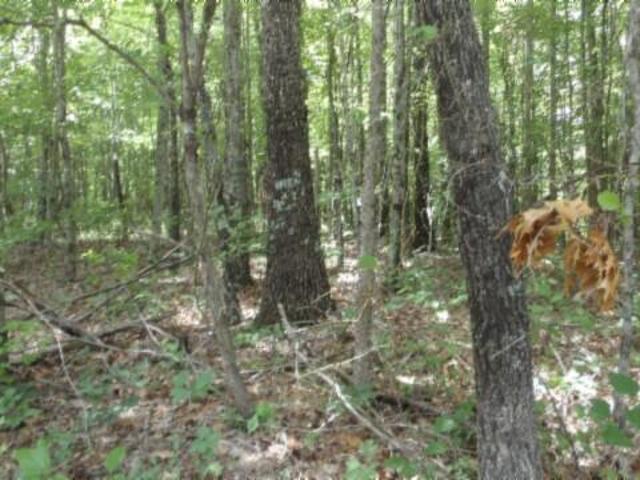 Lot 48 Parkstown Ext. Rd