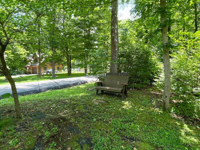 Lot 48 Troutman South Drive