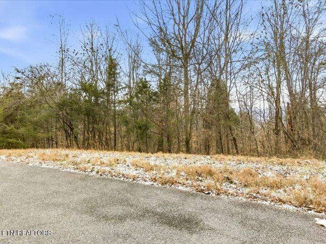 Lot 499 Citron Lane
