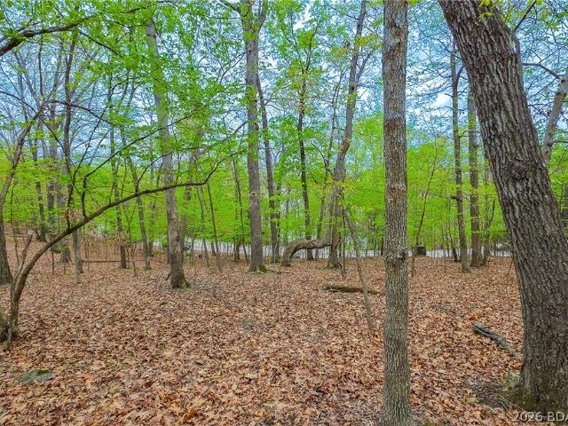 Lot #499 Grand View Drive