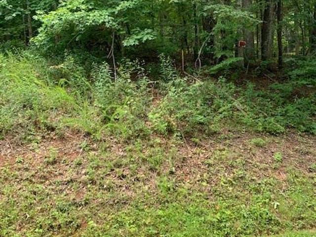 Lot 49 50 Mckenzie Way S, Old Fort, NC 28762 | MLS #4120