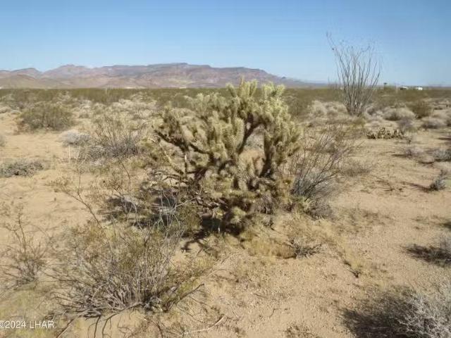 Lot 49 51 Rio Vista 2 Subdivision, Topock, AZ 86436 MLS 1031.