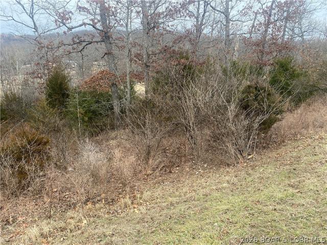 Lot 49 Country Club Cove Drive