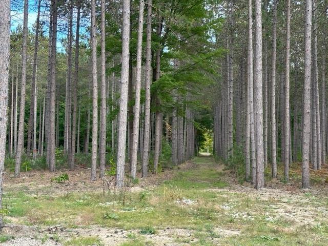 Lot 49 Cascade Trail