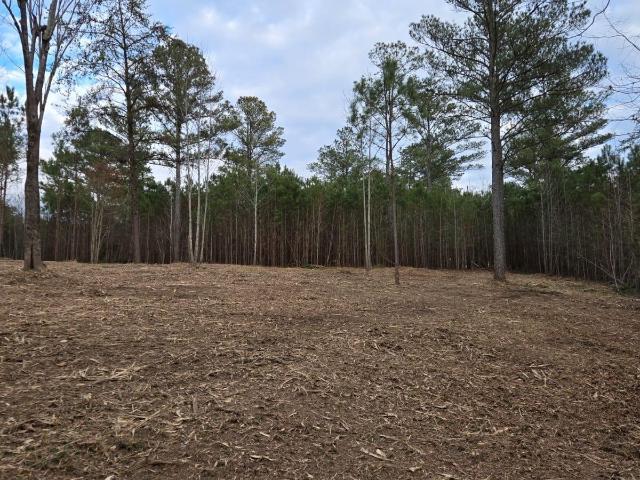 Lot 49 and 50 Lake View Drive