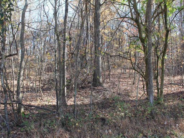 Lot 49 Backstrom Heights Road # 63d 49