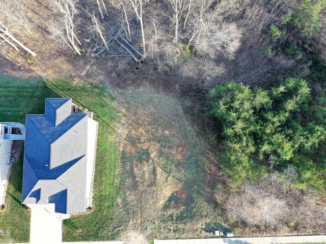 Lot 49 English Ivy Trail