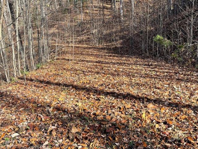 Lot 49 Indian Trail, Hayesville, NC 28904 | MLS #417371