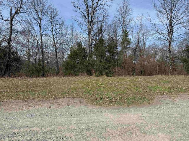 Lot 49 Mustang Drive