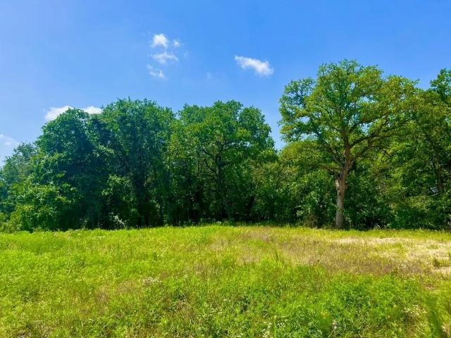 Lot 49 Wicklow Ct, Poolville, TX 76487 | MLS #21226 | Compass