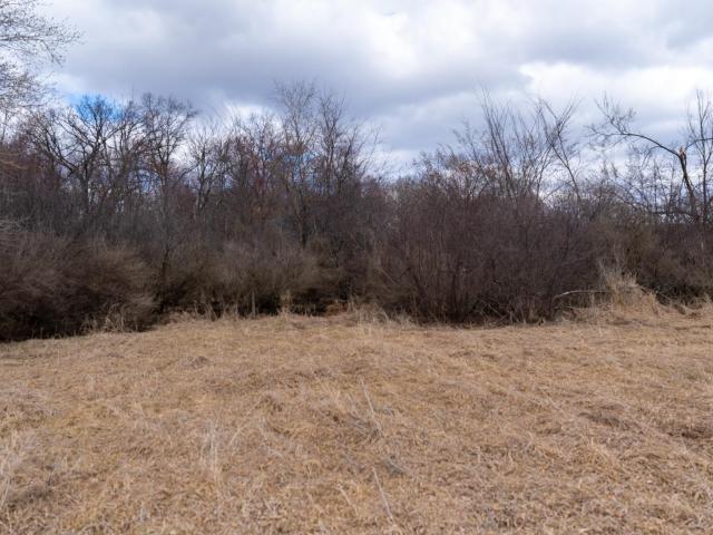 Lot 4 +/ 111Ac Dover Drive