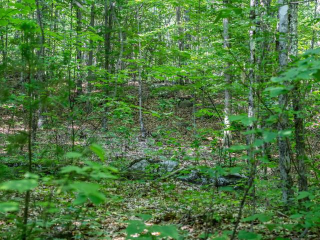 Lot 4.1 Tommy Lot Road