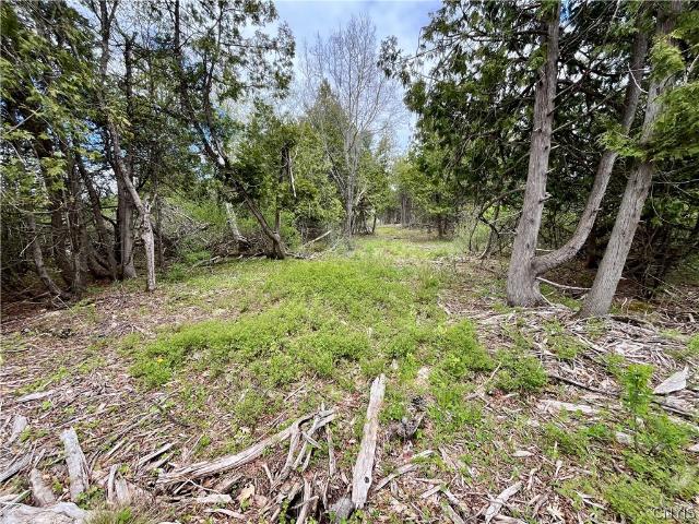 Lot 4 Thompson Trail Drive