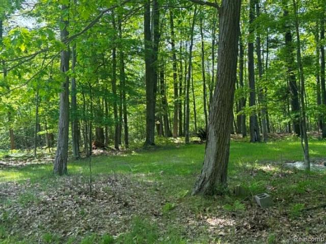 Lot 4 Towering Oaks Drive