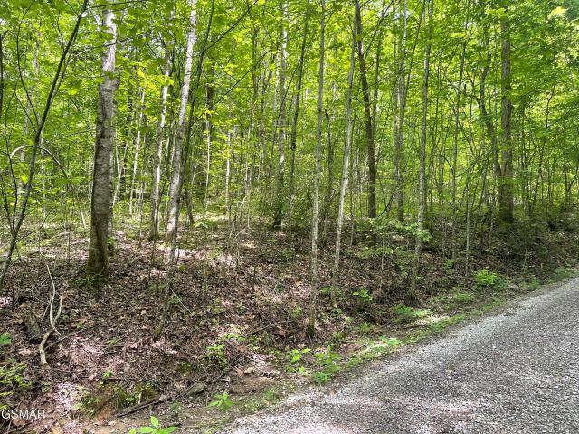 Lot 4 Walden Flats Way