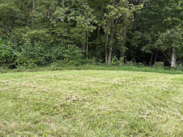 Lot 4 Wildcat Ridge Lane