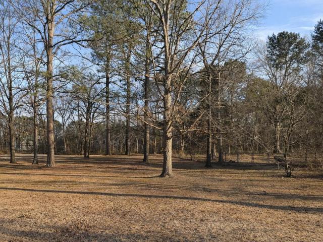 Lot 4 Will Suitt Road