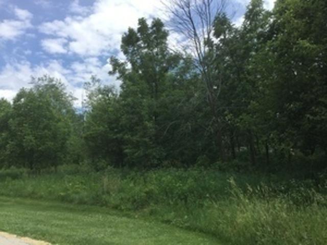 Lot 4 Williams Cir, Genoa, IL 60135 | MLS #12019 | Compass