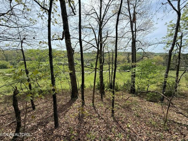 Lot 4 Yarnell Rd