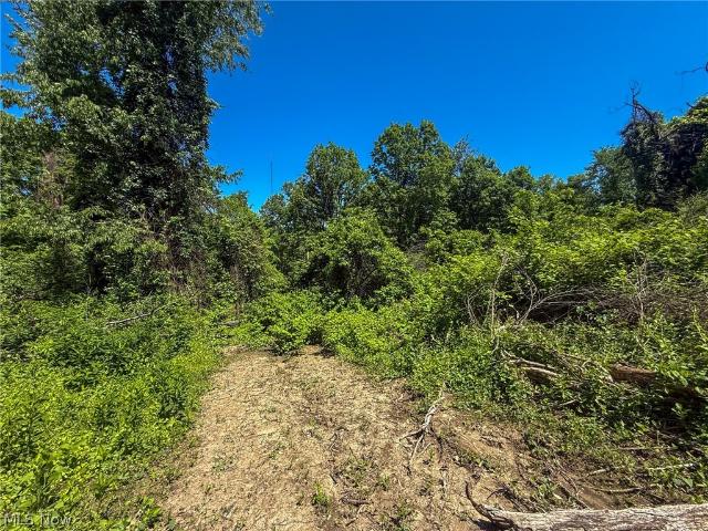 Lot 4 Altamont Rd